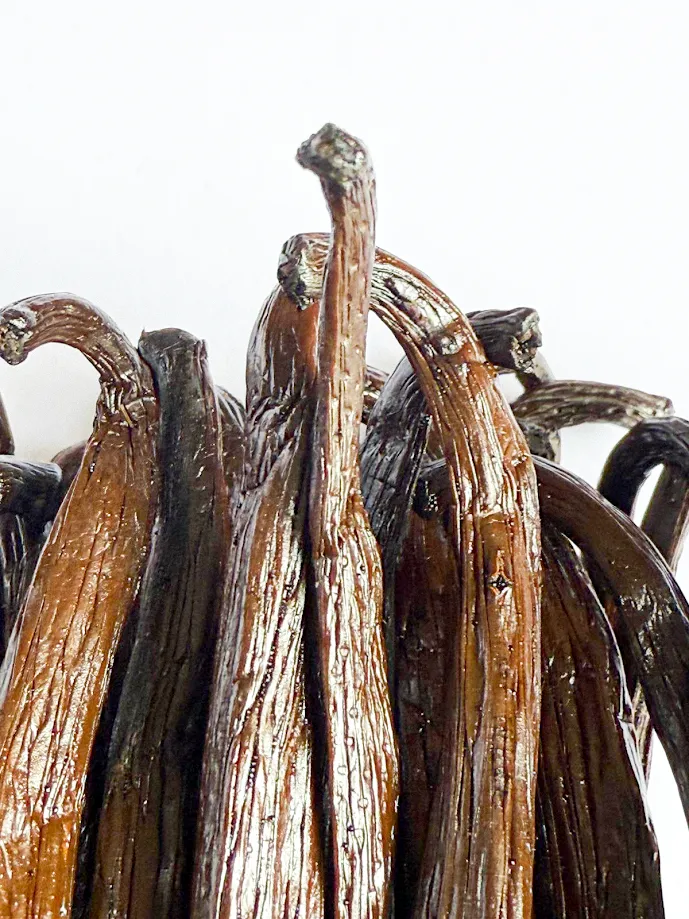 Comment reconnaître une vanille de qualité ? - spiceroad.fr